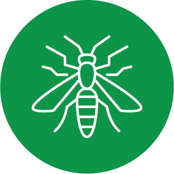 Expert Natural Pest Control in Reno, NV | Natura Pest Control