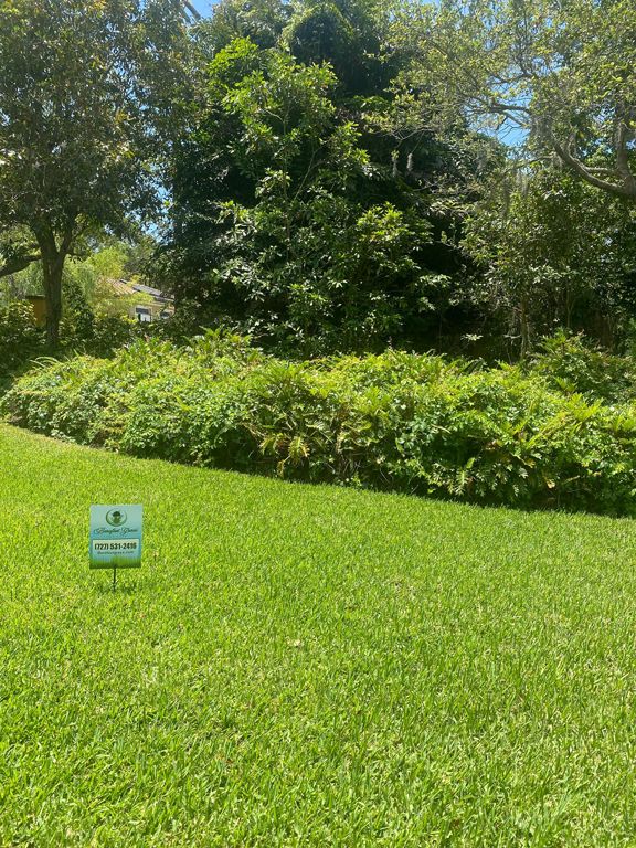 Tree And Shrub Care Largo Fl Barefoot Grass Lawn Care