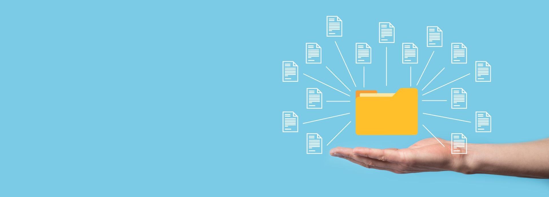 Numismatic Photography: A Step-by-Step Guide to Capturing Stunning Coin ...