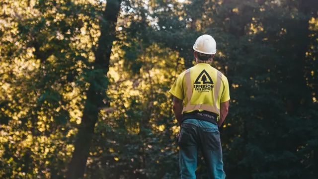 SourceOne Insurance Agency - Home and Auto Insurance Fort Wayne IN