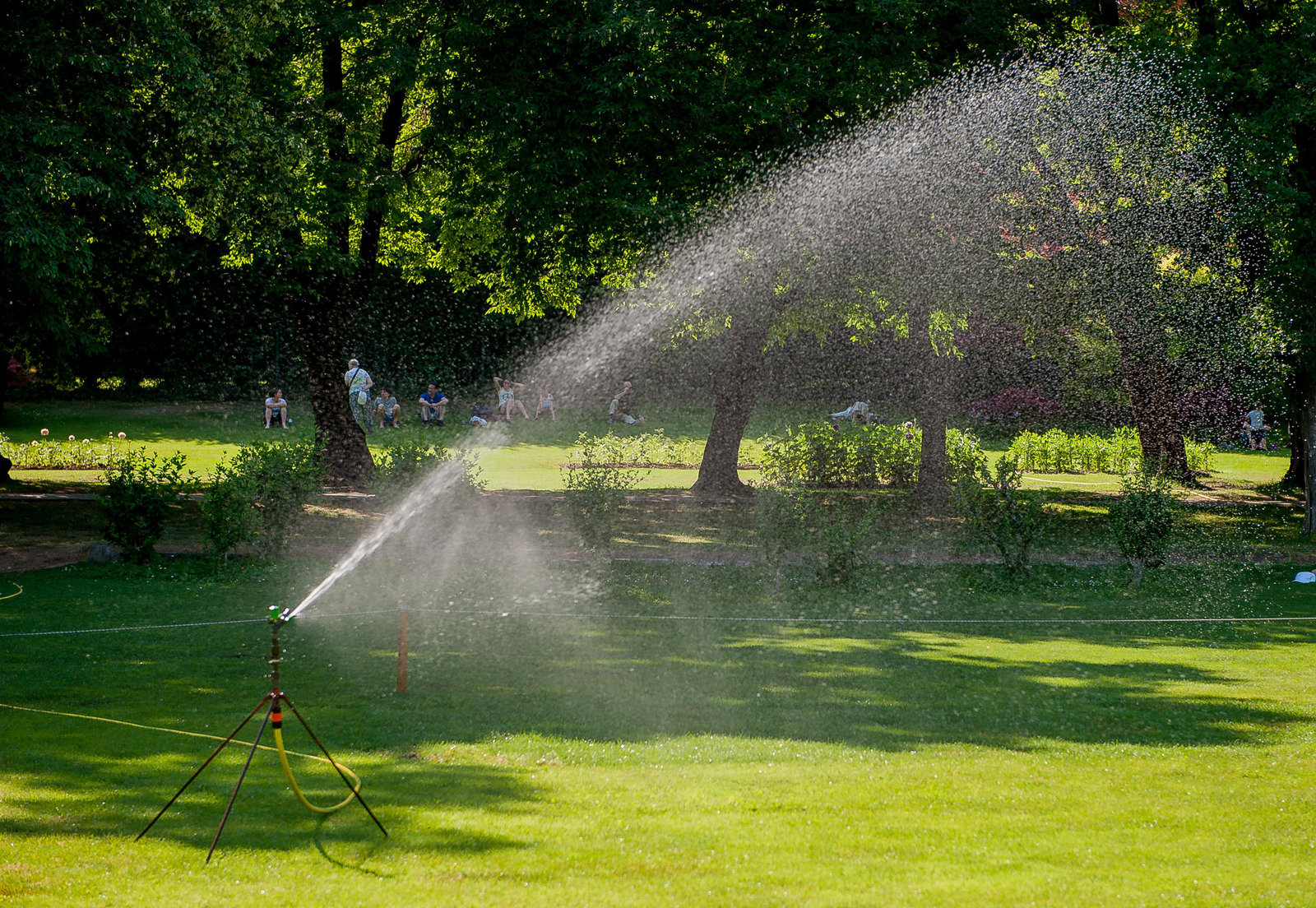 Irrigation Systems - Project Gallery