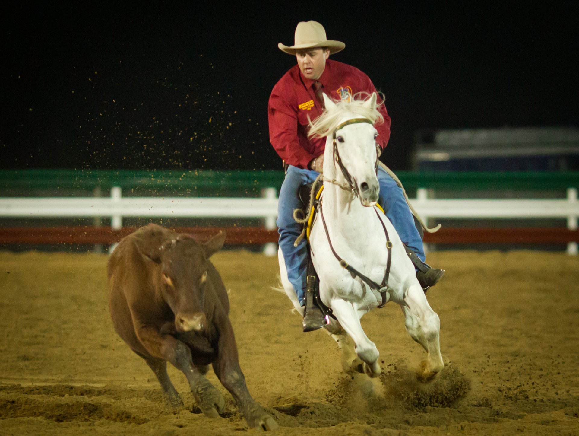 Heritage Australian Stock Horse