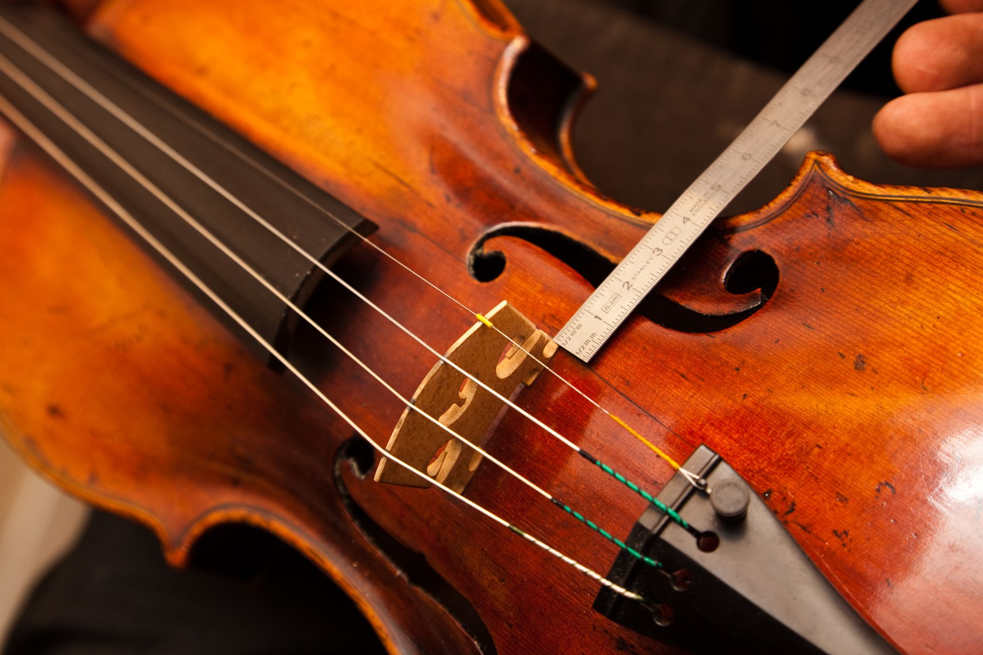 Violins, Violas, Cellos & Basses | Tom’s Heirllom Violins | Springfield ...
