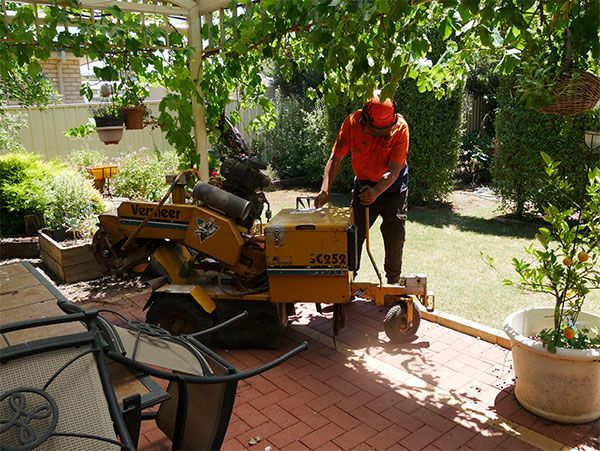 Tree stump removal | Adelaide Hills