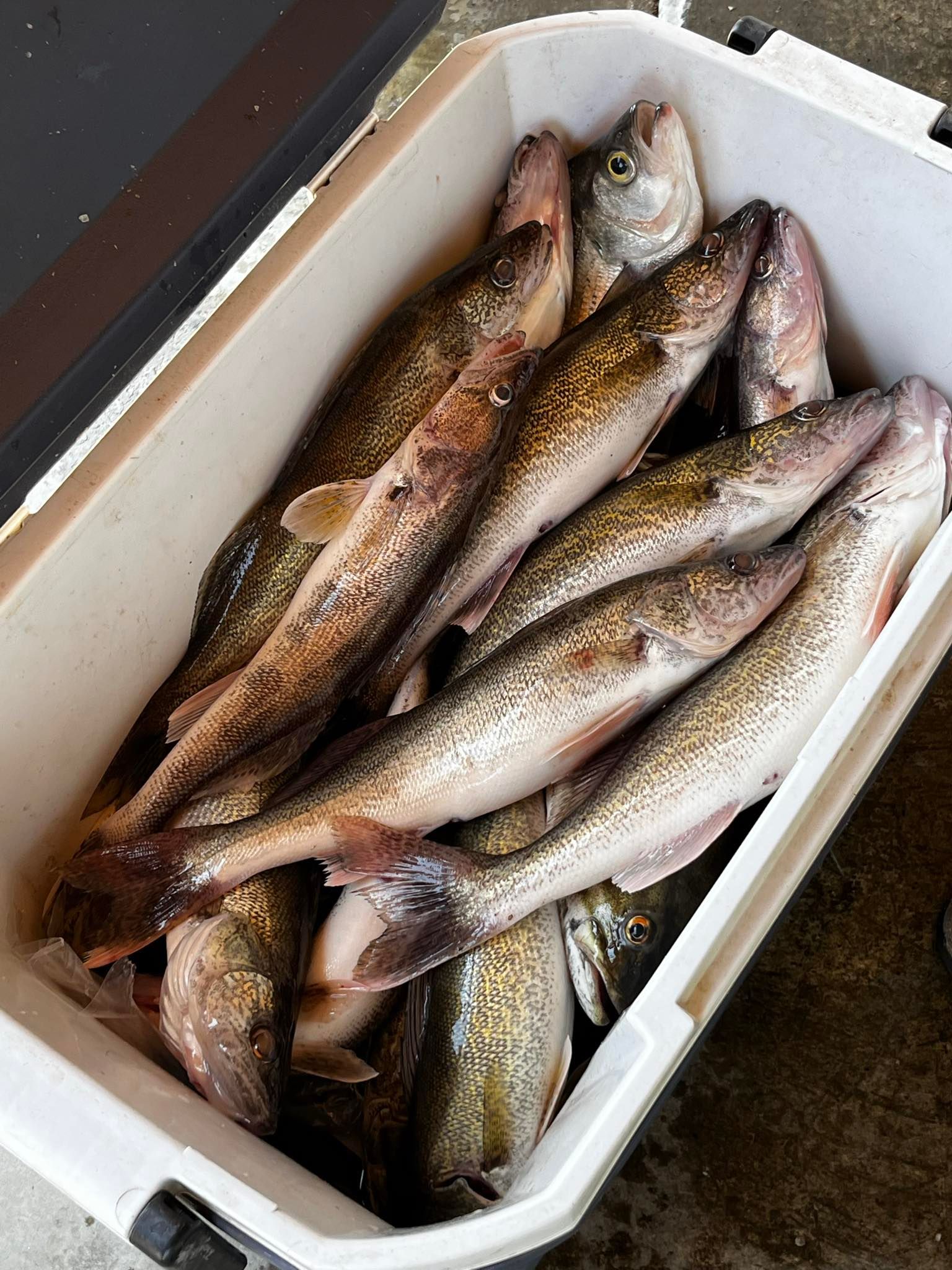 South Dakota Fishing Guide - Adams Guide Service