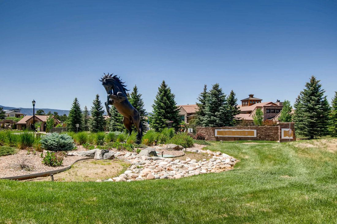 Contact Flying Horse