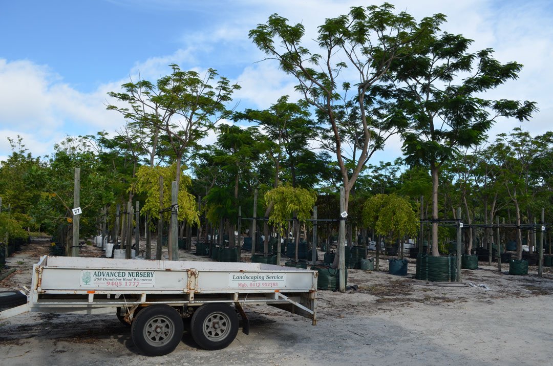 Contact Advanced Nursery | Perth