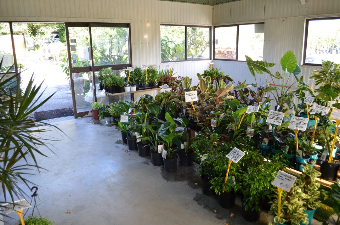 Contact Advanced Nursery | Perth