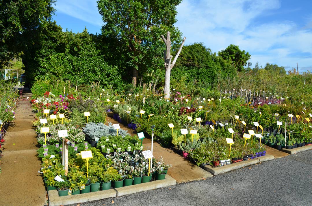 Contact Advanced Nursery | Perth