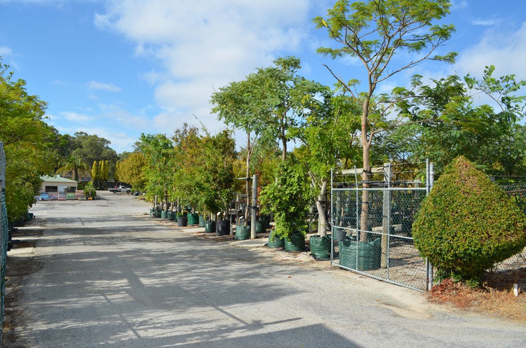 Contact Advanced Nursery | Perth