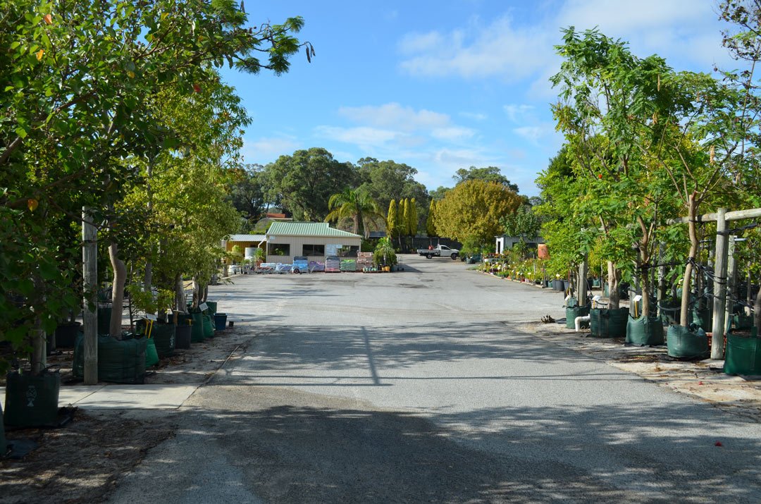 Contact Advanced Nursery | Perth