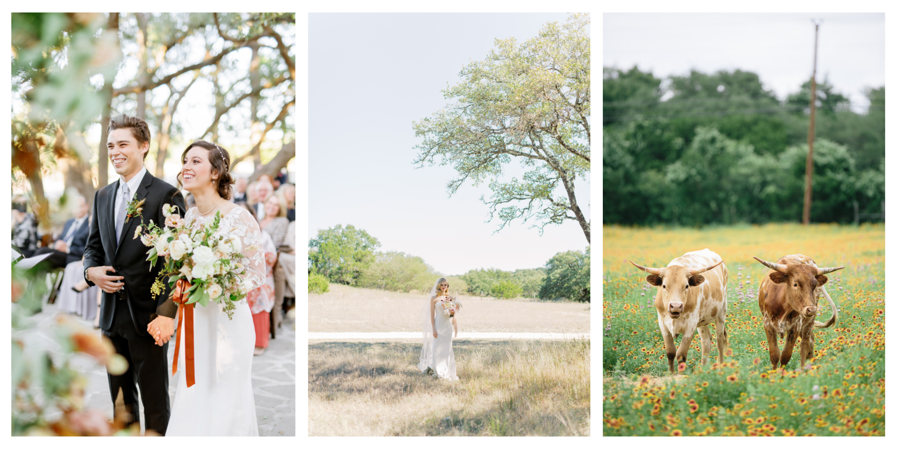 Austin’s Top Luxury Wedding Venue - The Addison Grove