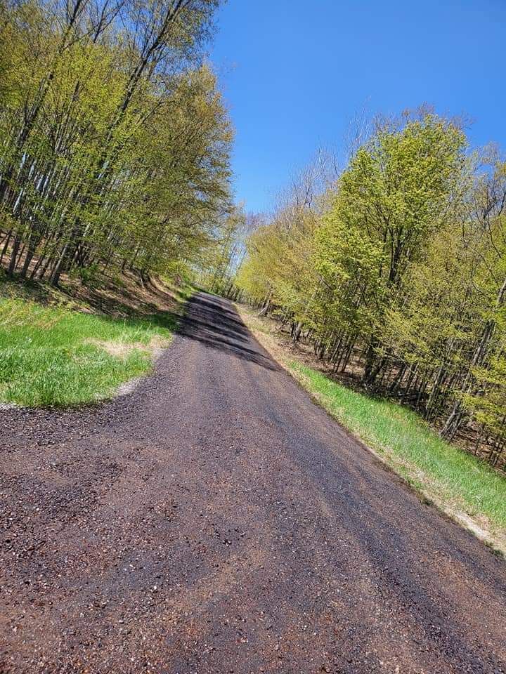 Road Oiling Services | Grawn, MI | Dave's Dust Control