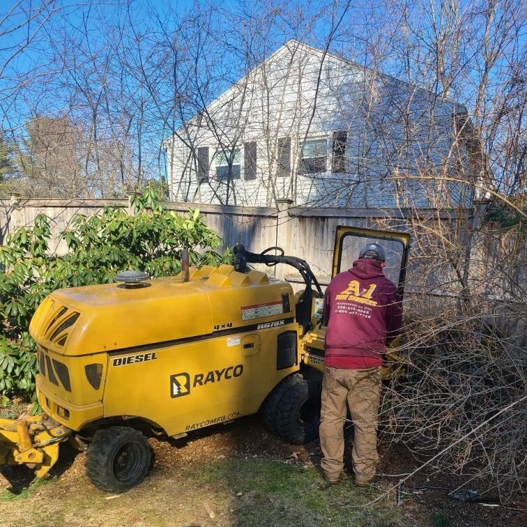 Pro Tree Care | Ashland, MA | A1 Tree & Landscape