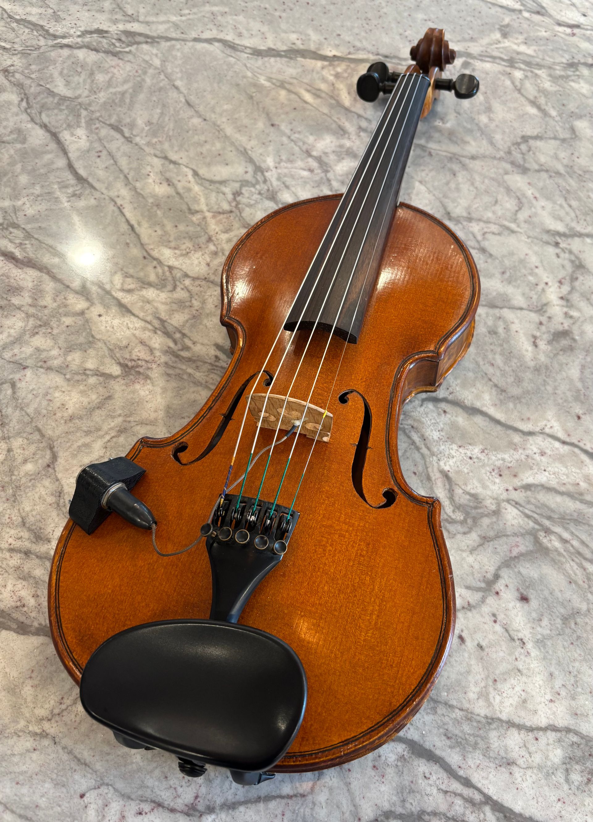 Kogut 5-String Fiddle For Sale