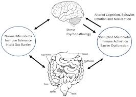 The Microbiome and Its Impact on Autism: Understanding the Gut-Brain ...