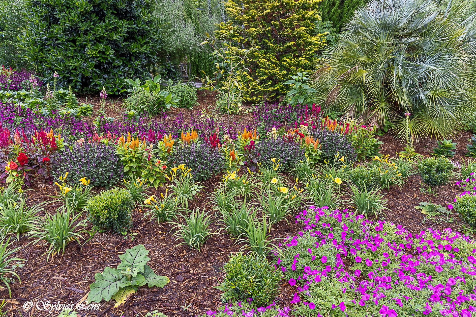 2025-10-09: The Any Book Book Club, Nancy Larkin