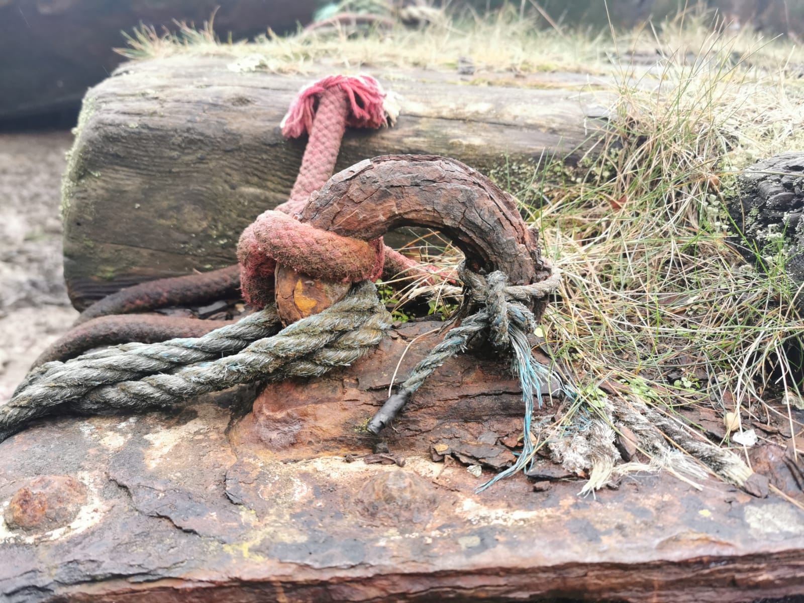 Amy Whittingham Glass Casting Author Gallery images