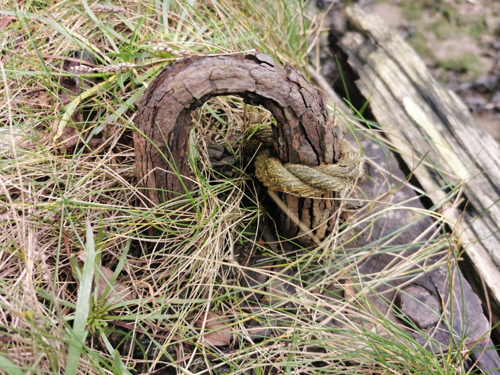 Amy Whittingham Glass Casting Author Gallery images