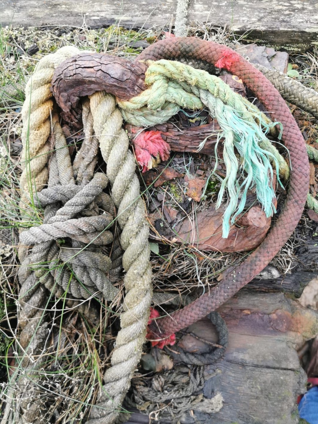 Amy Whittingham Glass Casting Author Gallery images