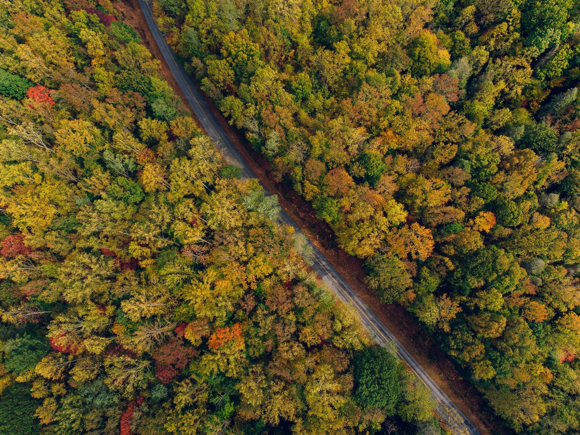 South Carolina Conservation Bank | Home