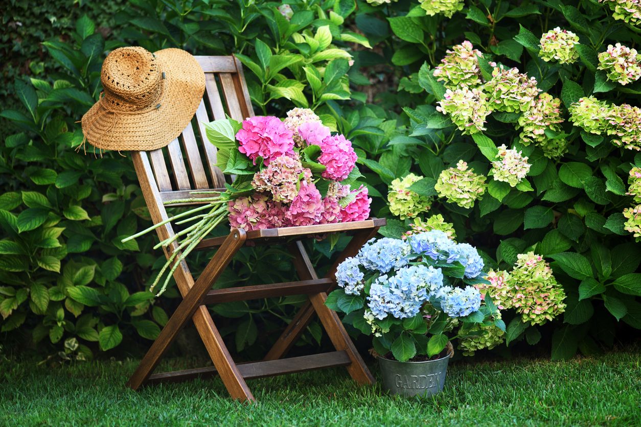 Cremation Packages | Twin Creek Cremation & Funeral Services