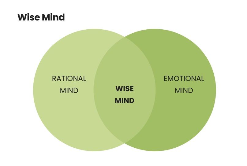 Embracing Your Wise Mind: Mindfulness in Action