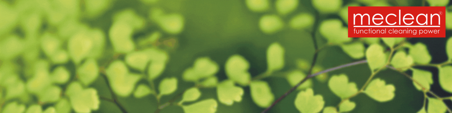 Meclean professionele reinigingsmachines