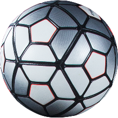 Sports League Management Software | TeamSideline | US