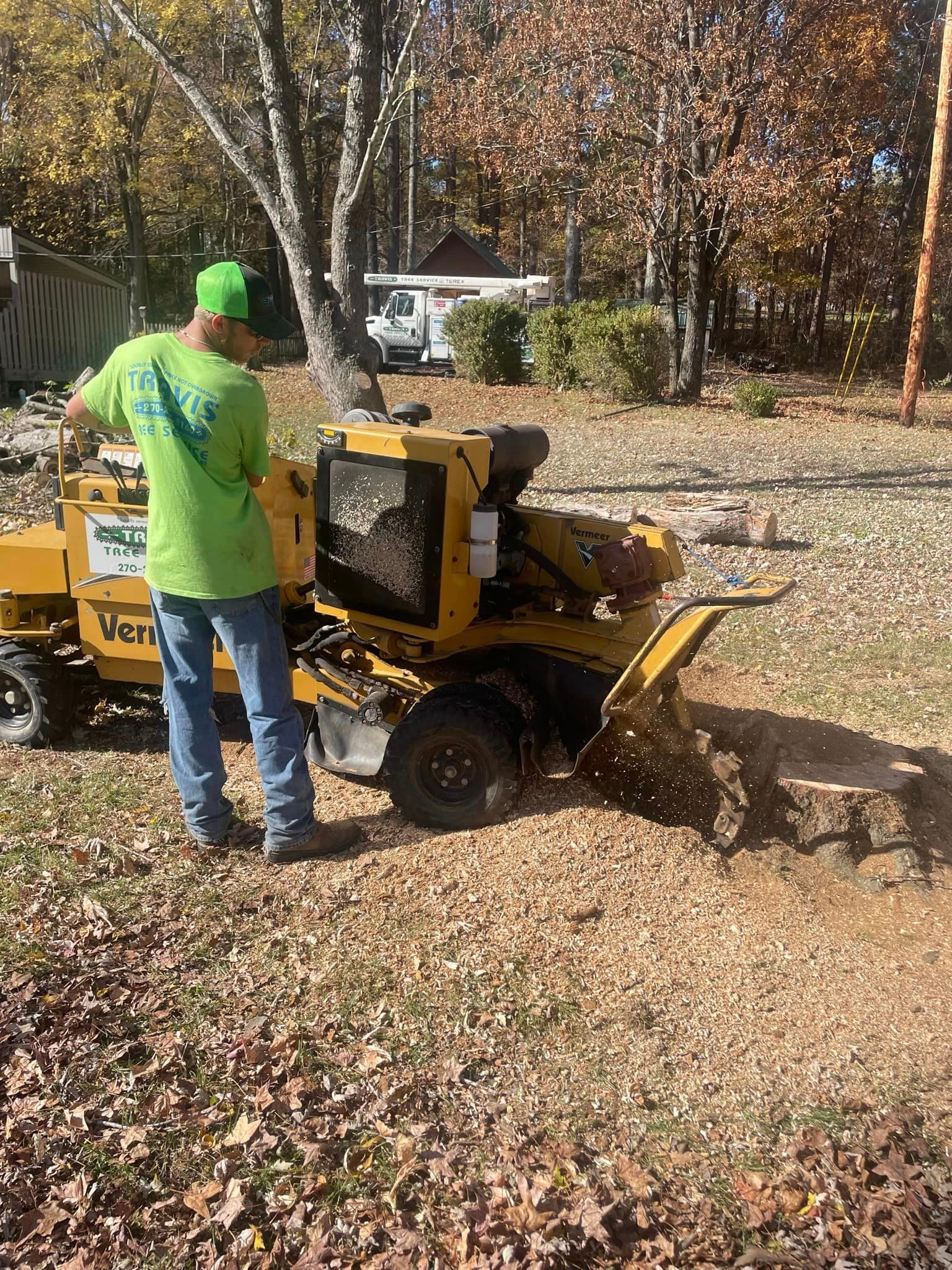 Travis Tree Service | Ledbetter, KY