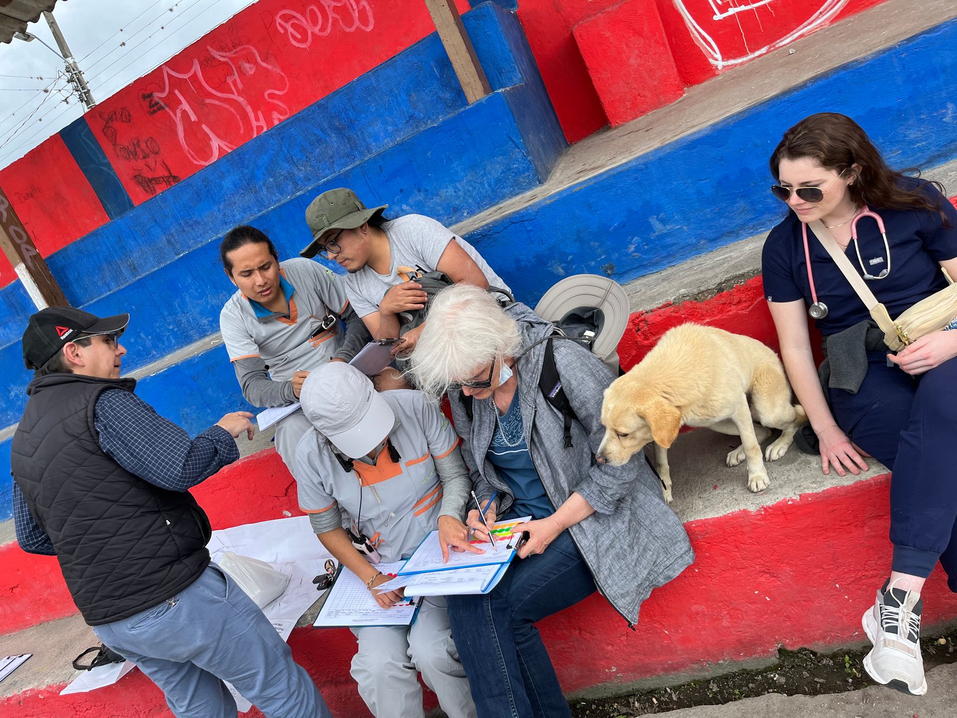 Amici Cannis USA | About Us