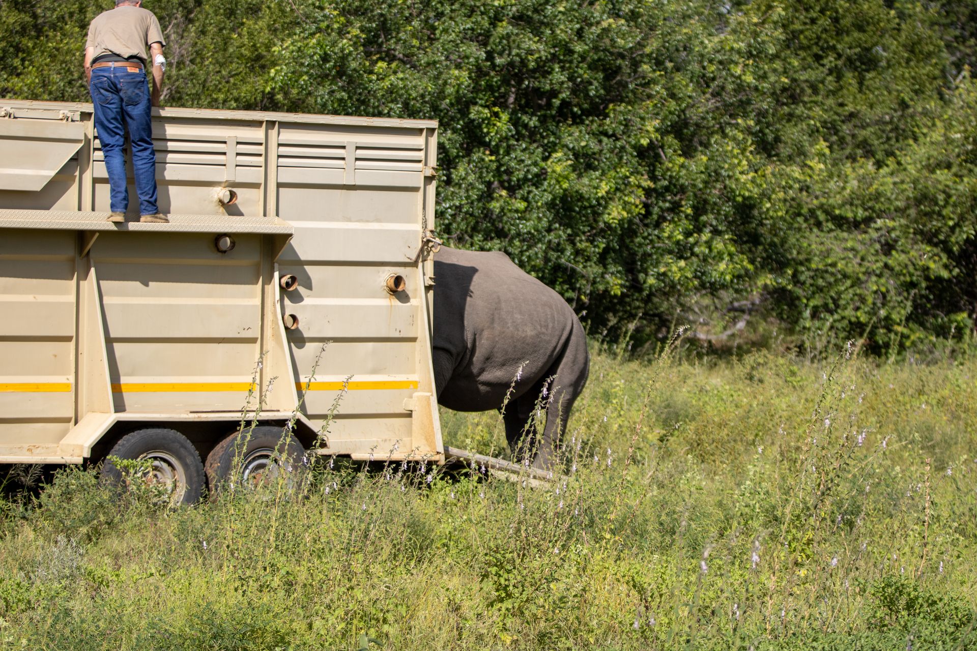 Conservation Safaris - Martin Meyer Safaris