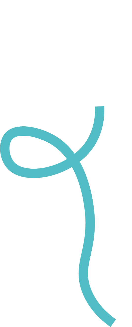 Scottish Probate Support Service | My Probate Partner