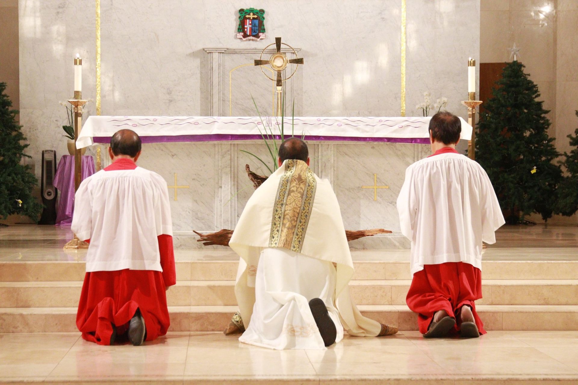 Co-Cathedral of St Theresa of the Child Jesus: Aloha and Welcome!