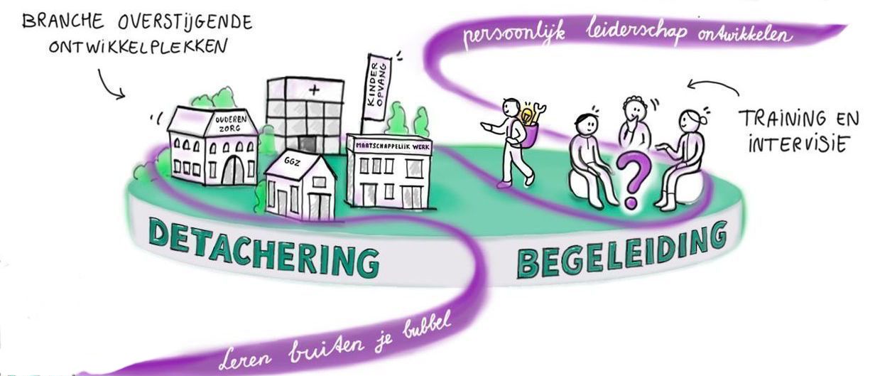 ontwikkeltraject, coaching en intervisie