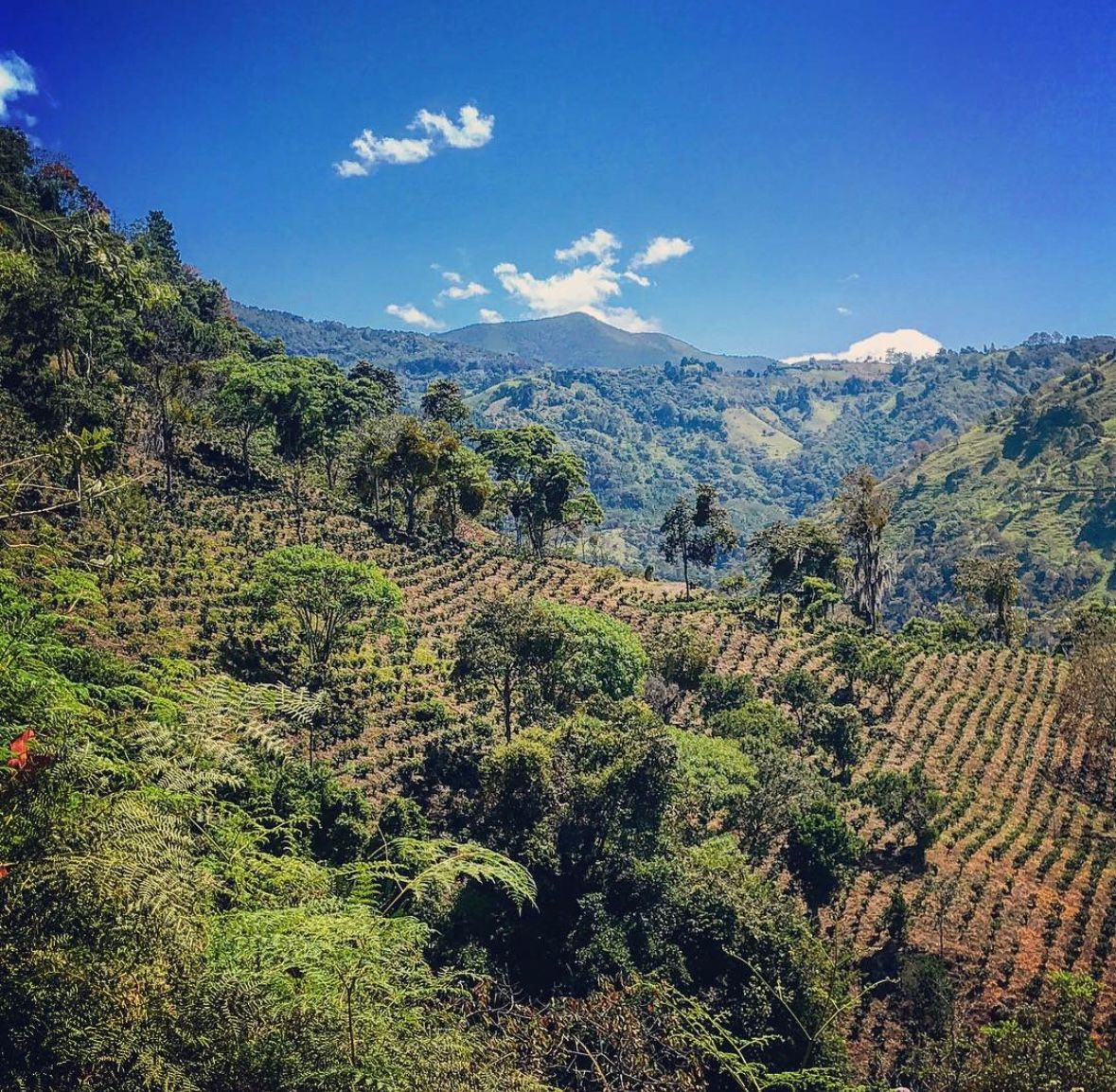 Destination-Colombia