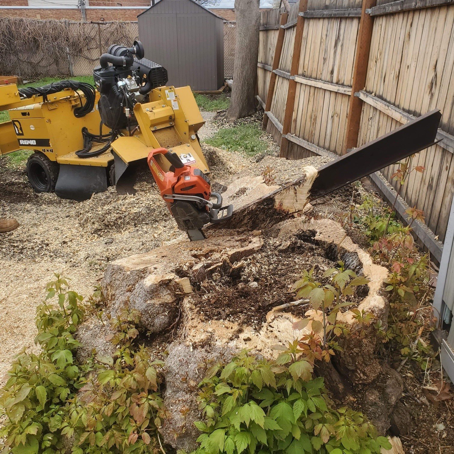 Stump Grinding and Tree Service - Salt Lake City, Utah