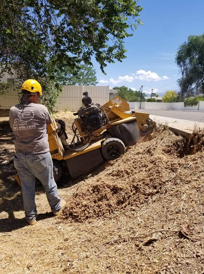 About Utah Stump Grinding LLC