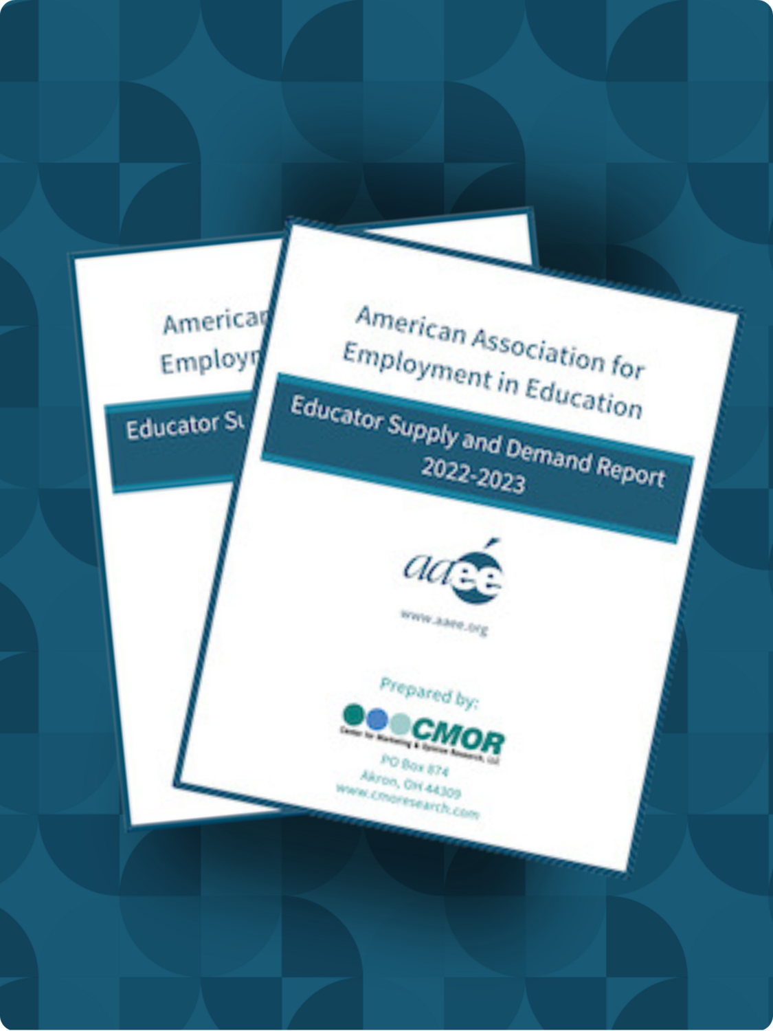 Educator Supply & Demand | AAEE | US