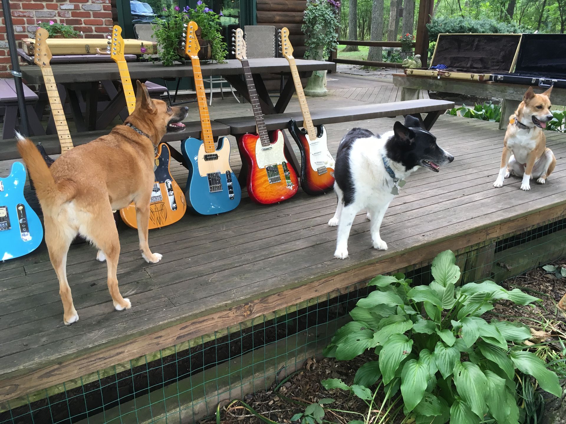 Contact | Ottsville, PA | Tinicum Guitar Barn