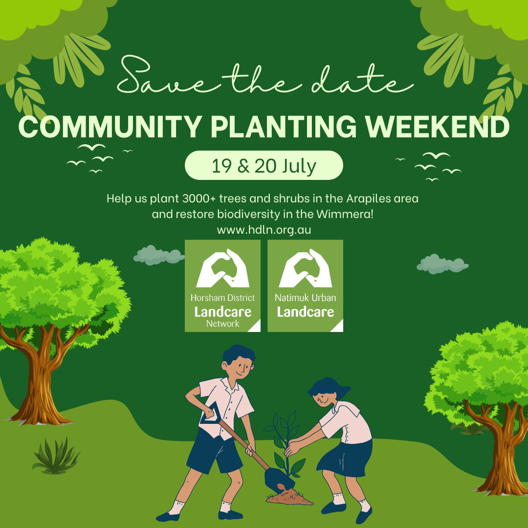 Community Planting Weekend Arapiles 19-20 July