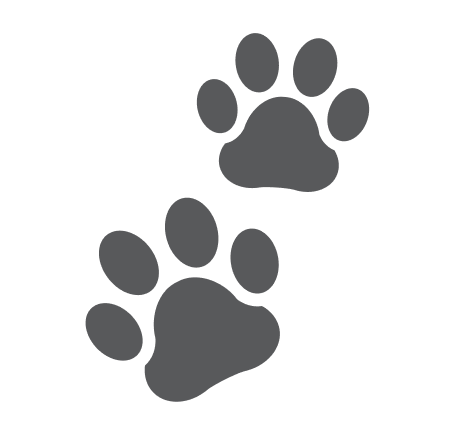 Award-Winning Dog Grooming & Pet Products | GTA Locations