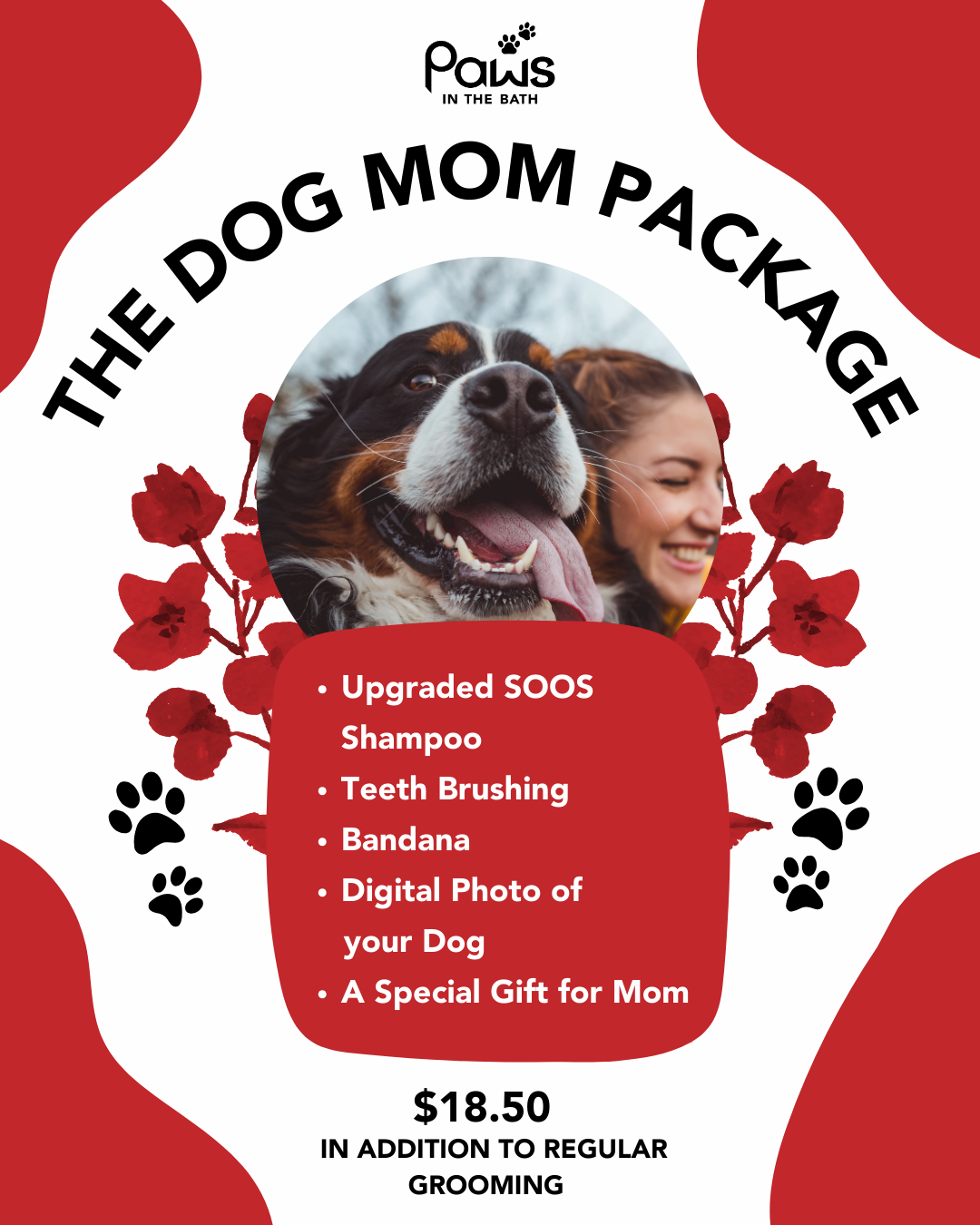 Dog Grooming Specials | Paws in the Bath