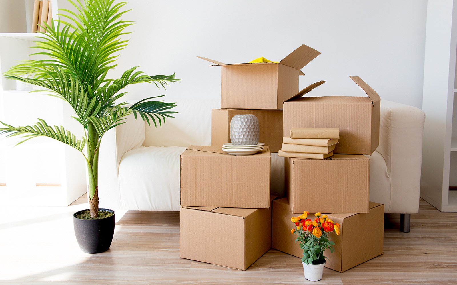 Shipping Supplies | New Orleans, LA | NOLA Box Supply Company LLC