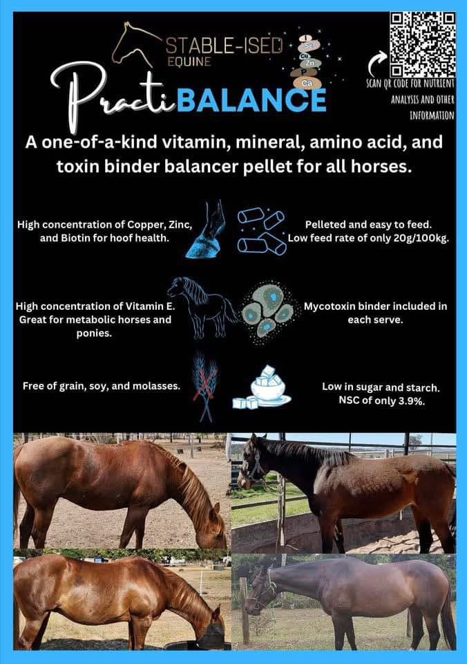 Bainbridge EQUINE SHOW SHAMPOO