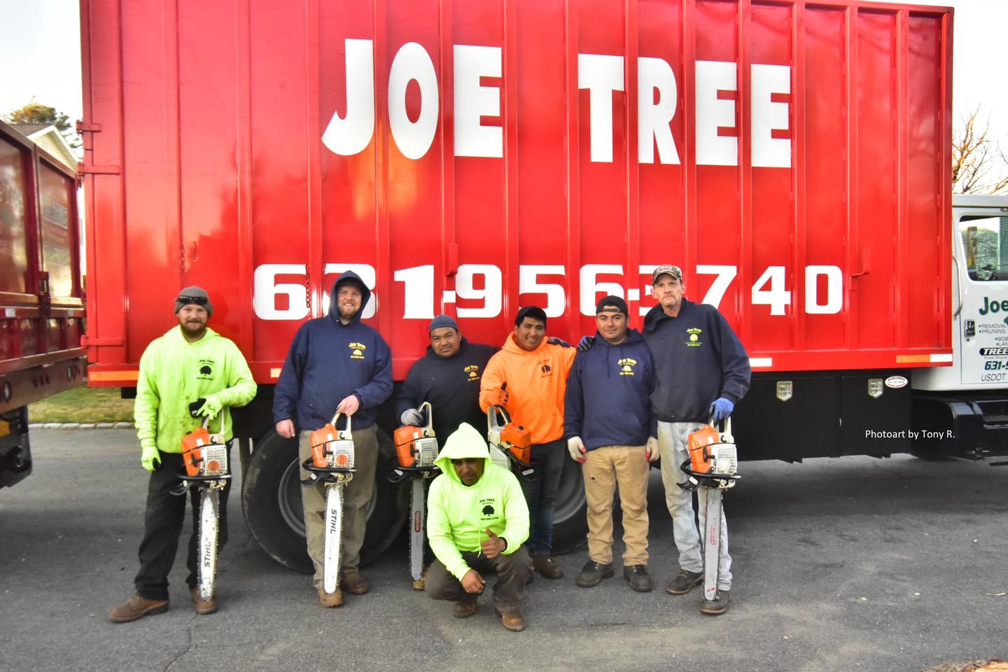 Joe Tree, Tree Service | Nassau & Suffolk Tree Removal