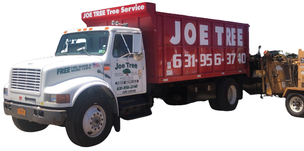 Our Services | Joe Tree, Tree Service Inc.