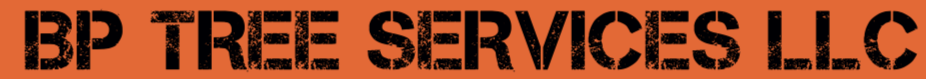 BP Tree Services LLC - Tree Services & Stump Removal