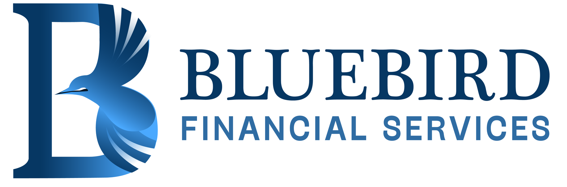 BLUEBIRD Financial Services