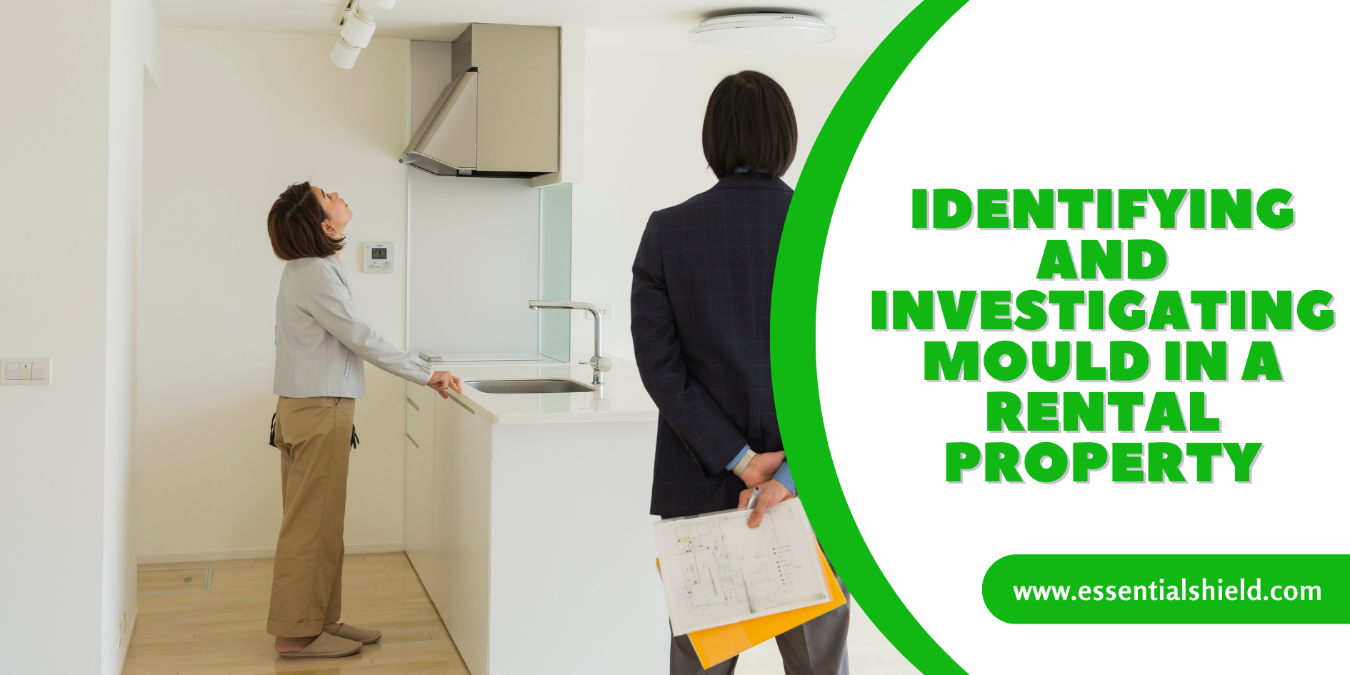 Identifying and Investigating Mould in a Rental Property